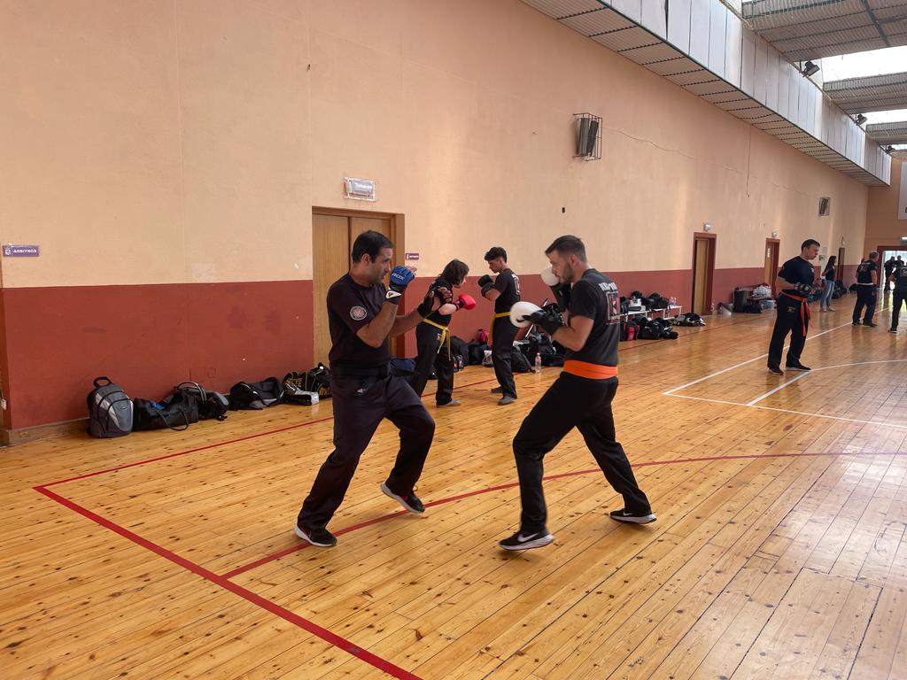 Fotografías Krav Maga Cantabria Seminario Vitor Martins – KRAV MAGA ...